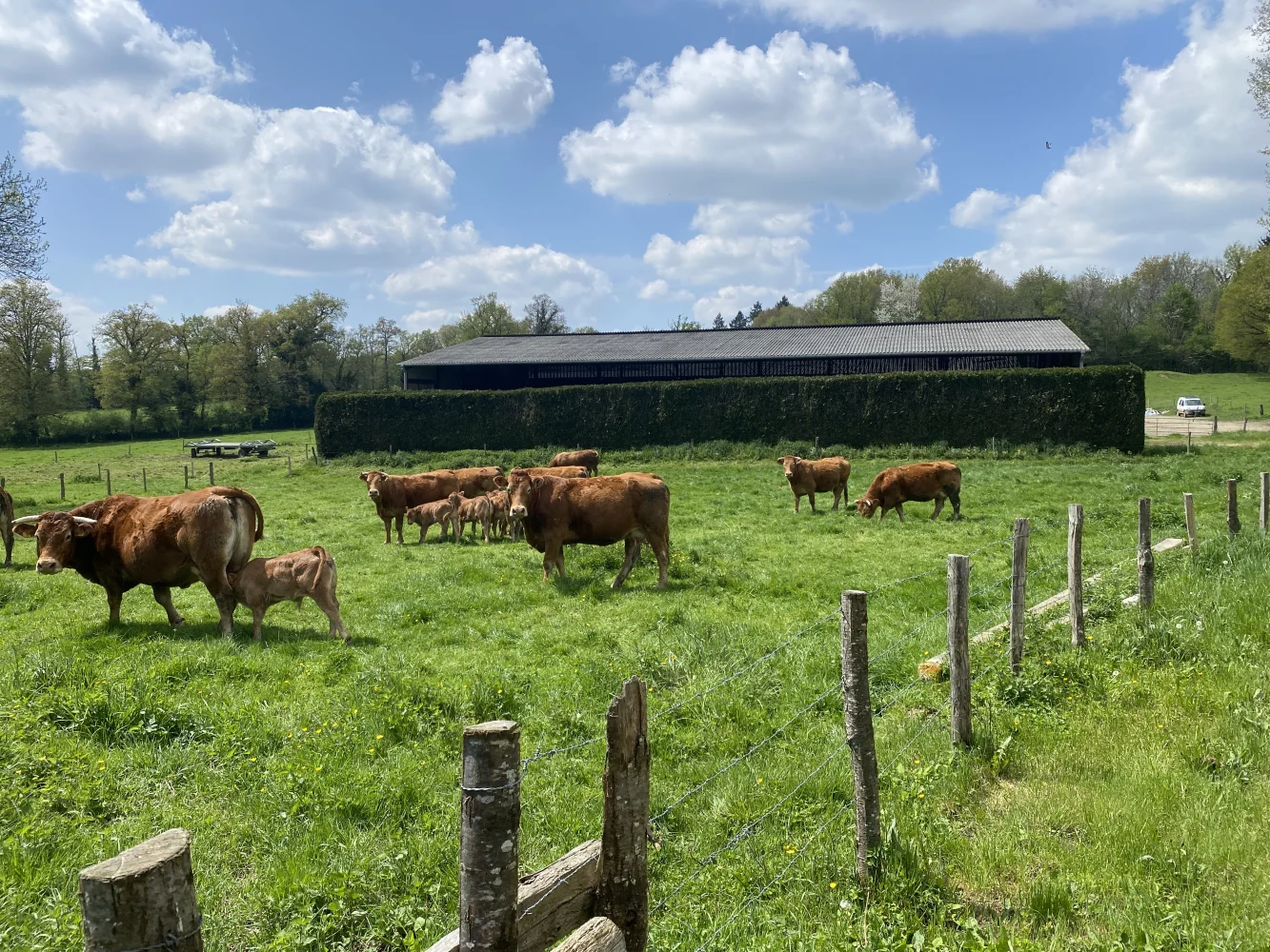 Working Farm / Farmland for sale in Limousin, Haute-Vienne (87 ...